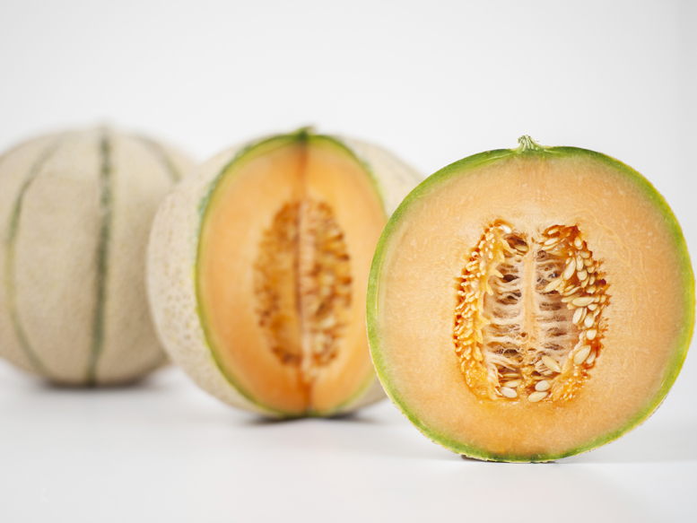 I Presidi Slow Food: Daniele Galli ci svela i segreti dei Meloni Reggiani